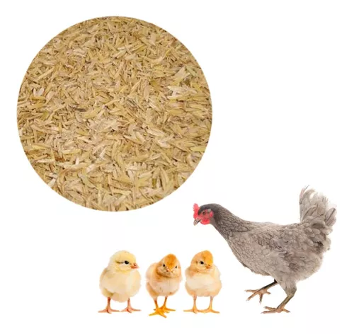 Cascarilla de Arroz Cruda x 1 kg – Yaxa Colombia