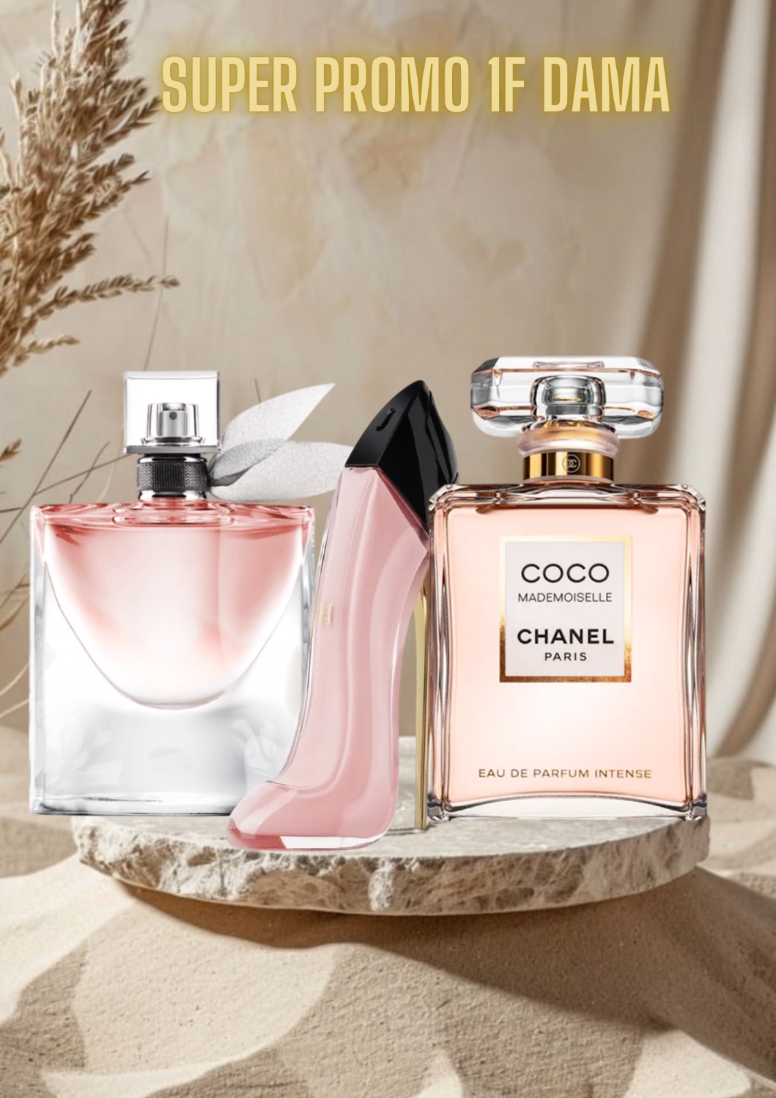 VIDA BELLA+GOD BLUSH+COCO CHANEL | Compra online en Yaxa Colombia